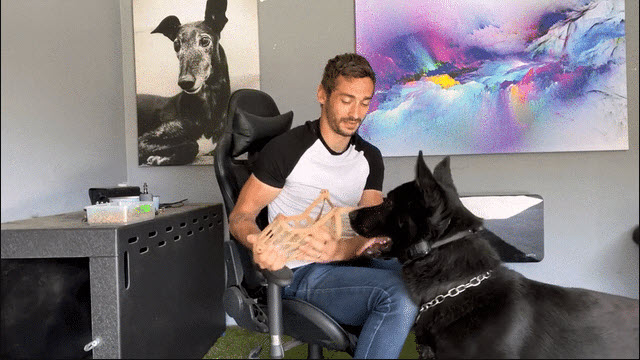 Muzzle Conditioning (Practical) - Obsidian K9 Academy